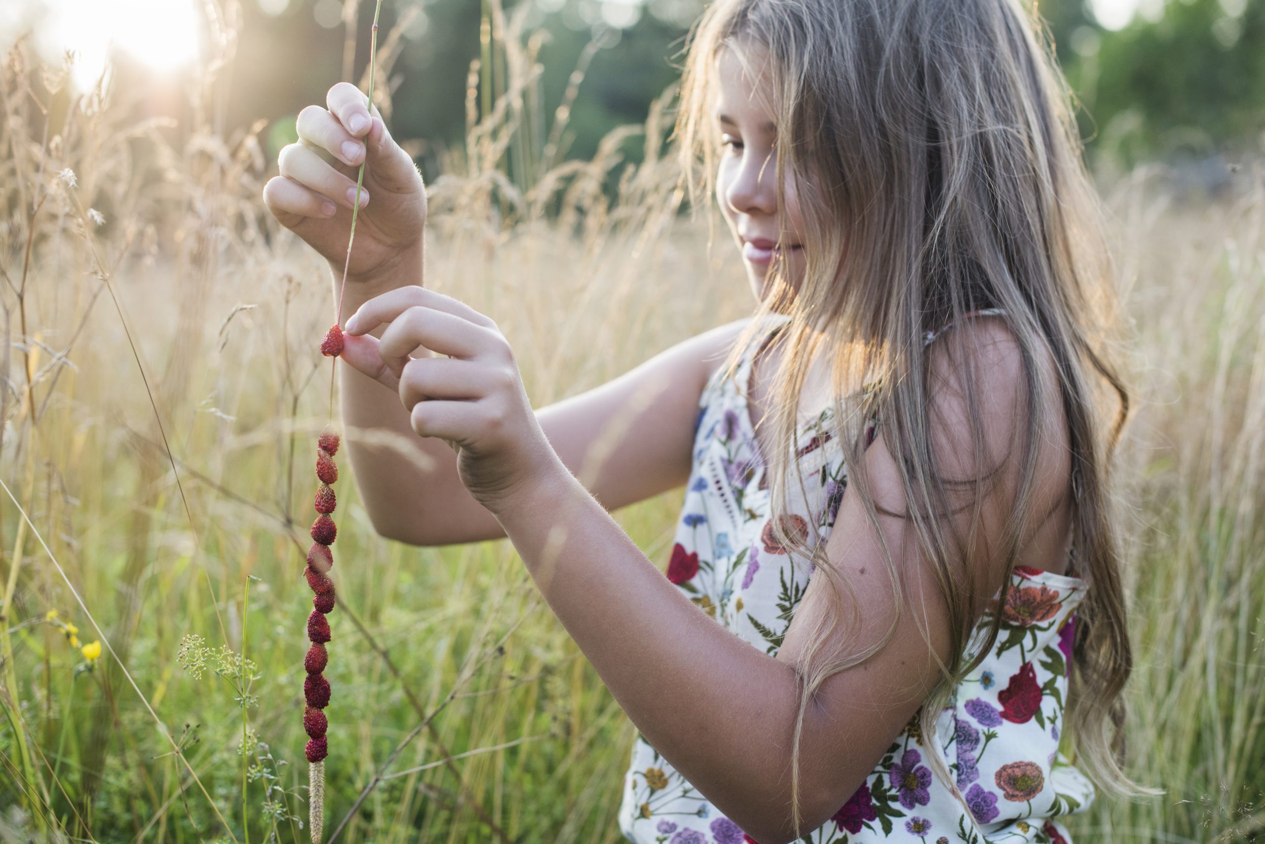 Ikano Group sustainability strategy 2022-2025 - Ikano Group