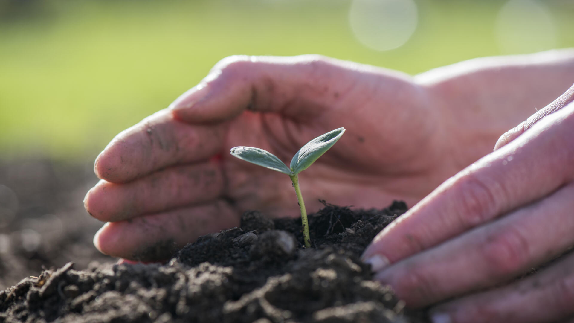 Ikano facts & figures 2022 - Ikano Group