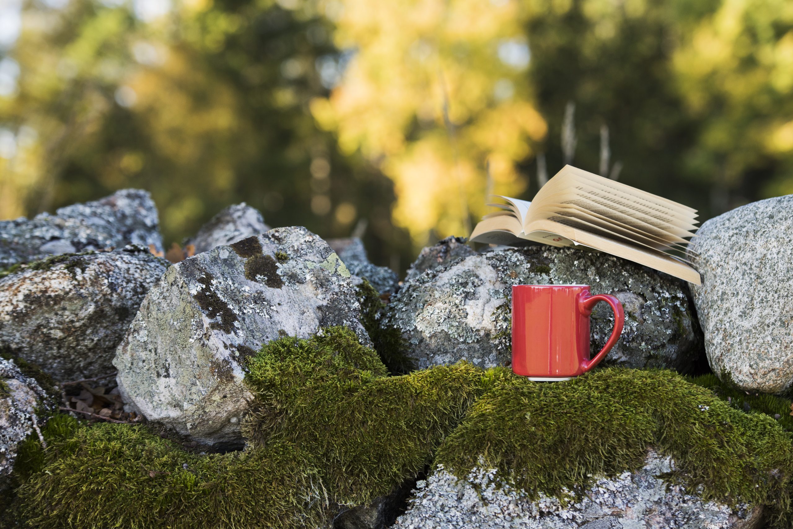 Hej from Lars, CEO of Ikano Group - Ikano Group