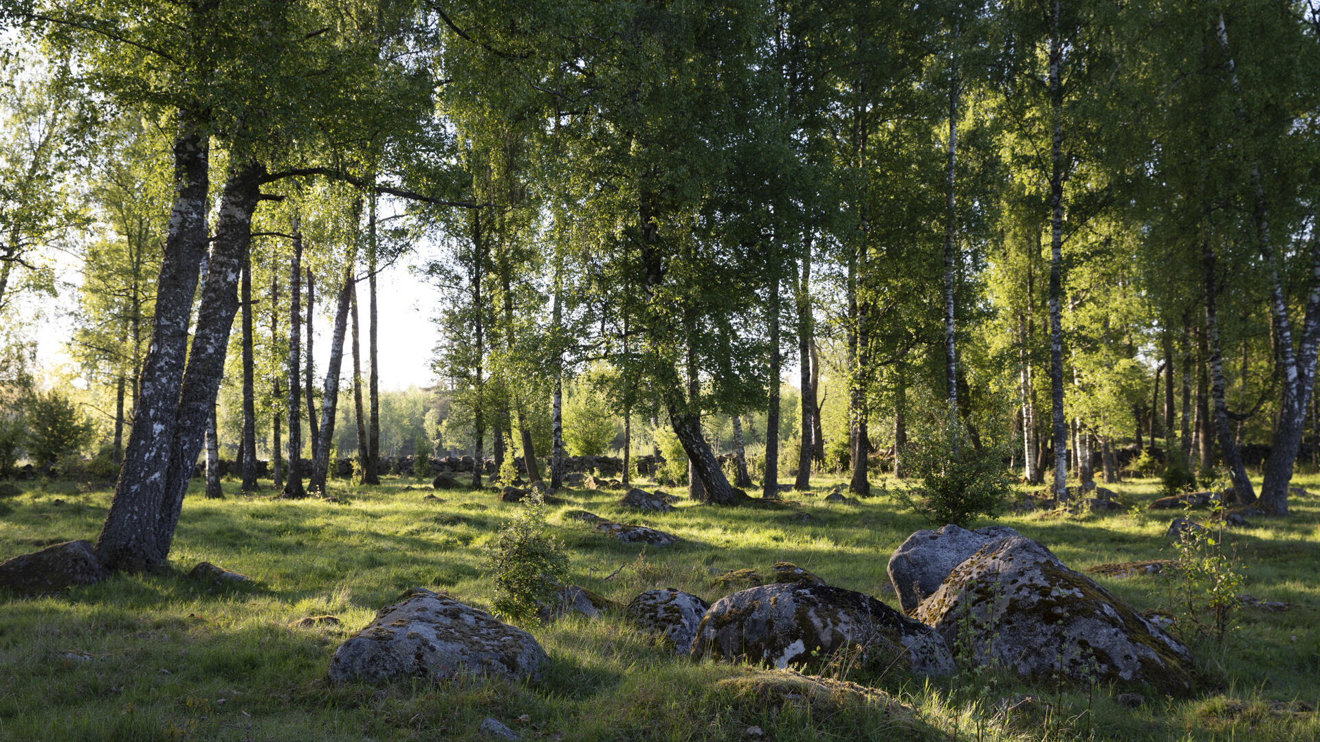 Our history - Ikano Group