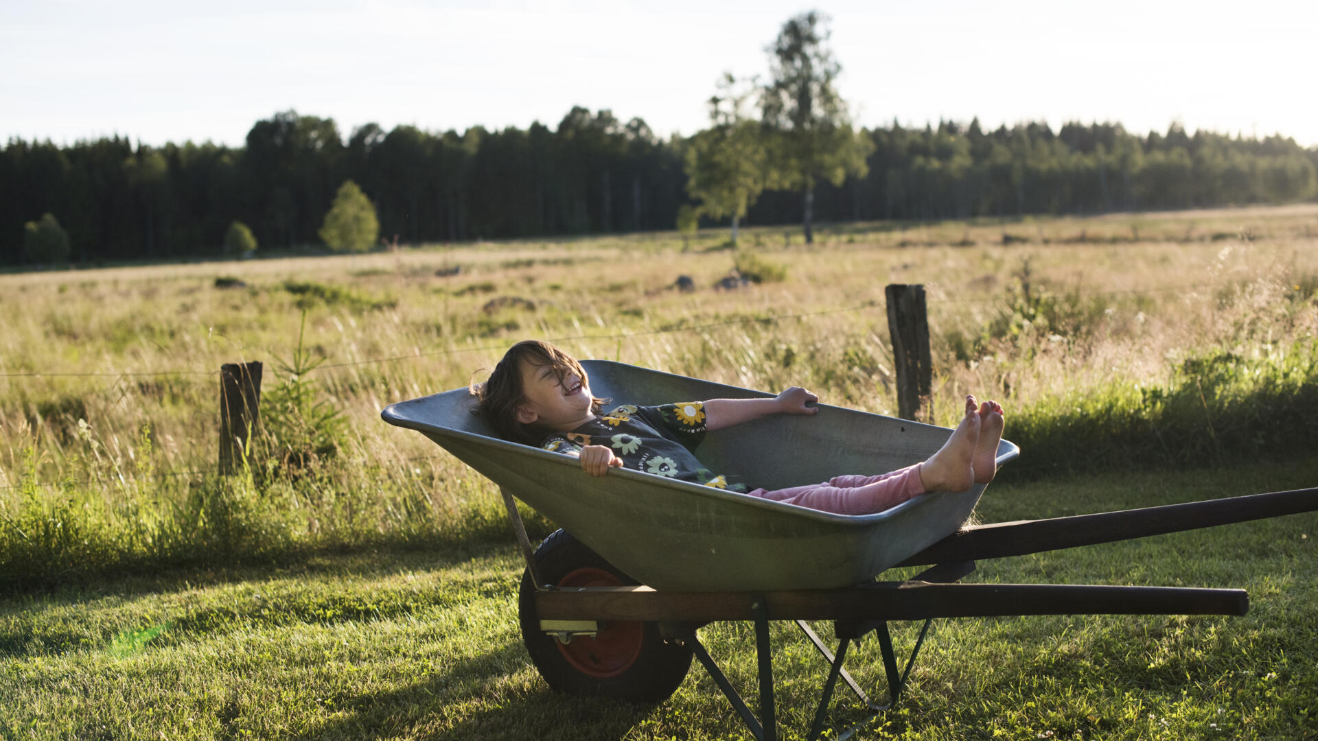 An update from our Group CFO - Ikano Group